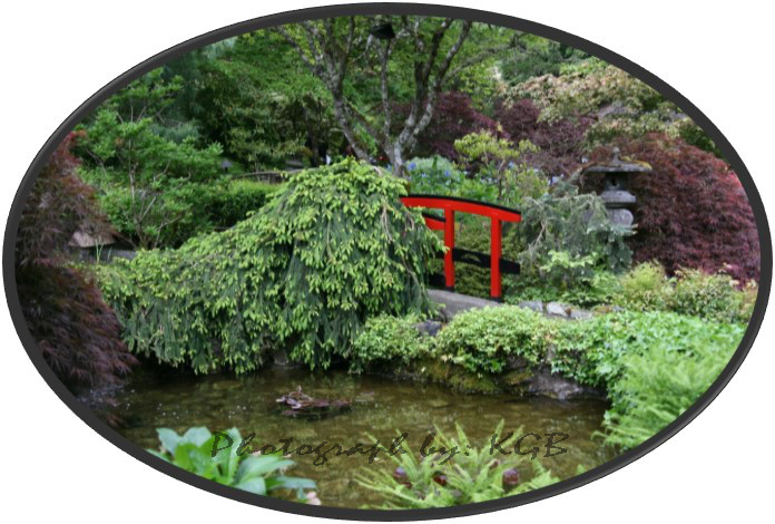 David J. Graham Banman